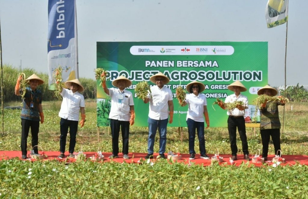 Project Agrosolution Petrokimia Gresik Hasilkan Peningkatan Benih ...
